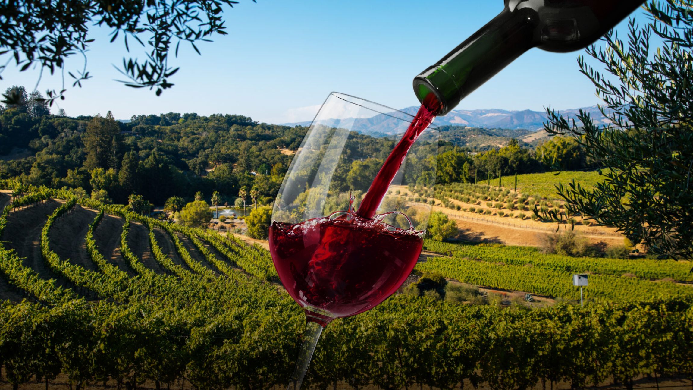 CLINK Dinner Series: Harvest Dinner with Benziger Wines - The Liberty Hotel